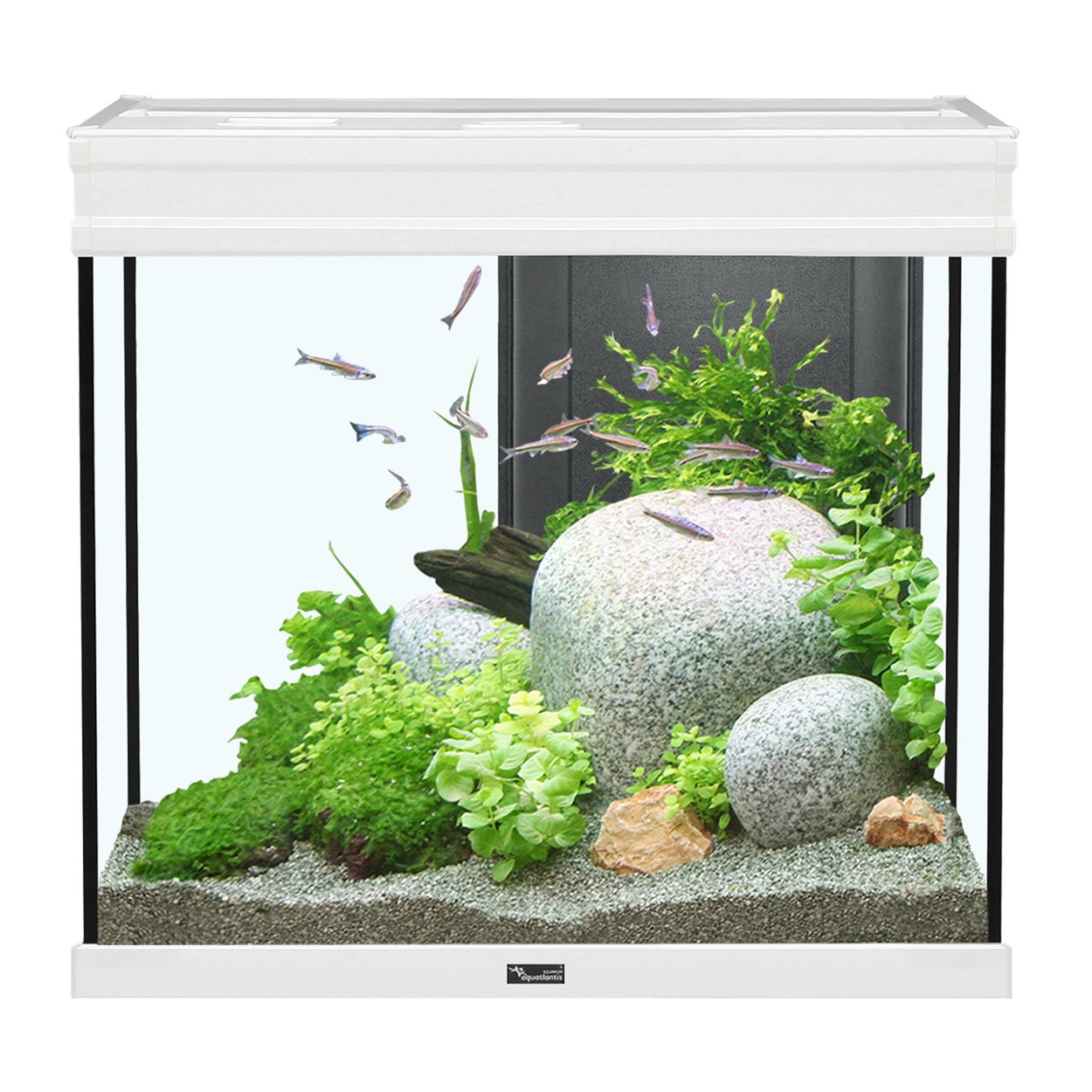 Tank Aquaatlantis Elegance White | The Fish Factory